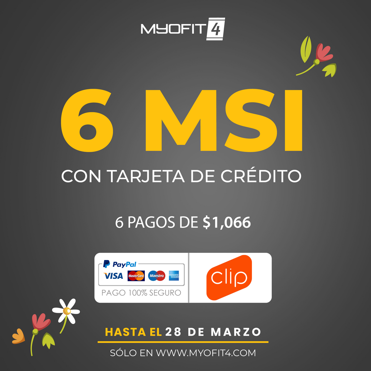 Myofit 4 / Electroestimulador Muscular de 4 Canales – Myofit mx